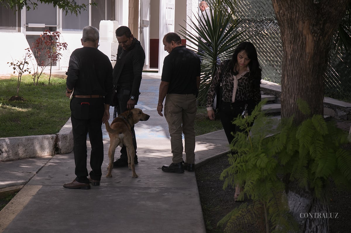 El perrito Chencho es reconocido como vigilante oficial de la SEE