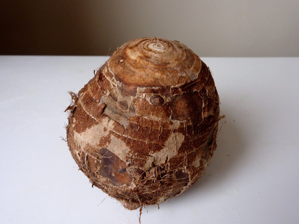 ¿Qué es el taro y cuáles son sus beneficios?