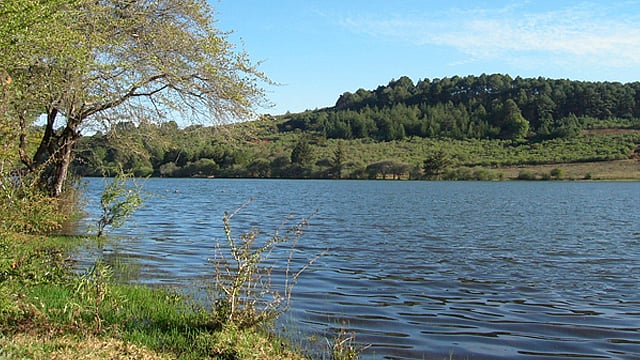 Alcalde reconoce azolve en presa de Umécuaro