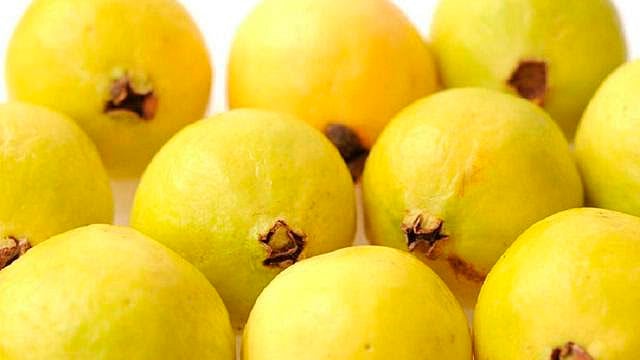 Guayaba de Michoacán, líder en México