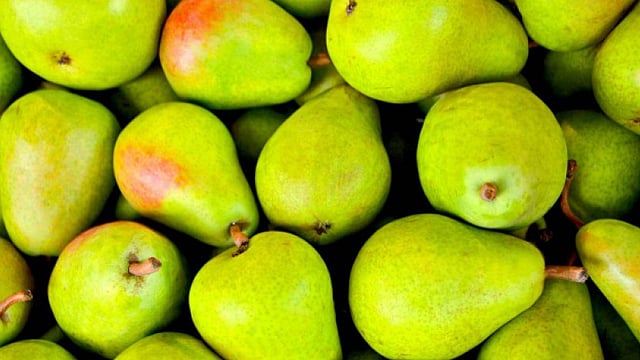 Ucareo, Zinapécuaro, anuncia su tradicional Feria de la Pera