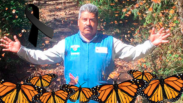 Conoce más sobre la vida de Homero Gómez, activista de la mariposa Monarca