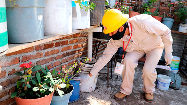 Emiten recomendaciones preventivas contra el dengue en Morelia
