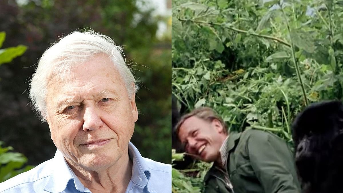 A Life on Our Planet: David Attenborough’s documentary on Netflix ...