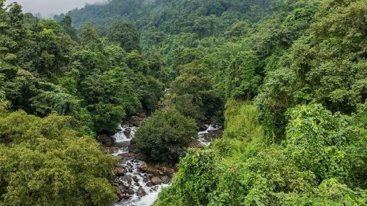 22 Miyawaki forests spots launched by Kerala Tourism