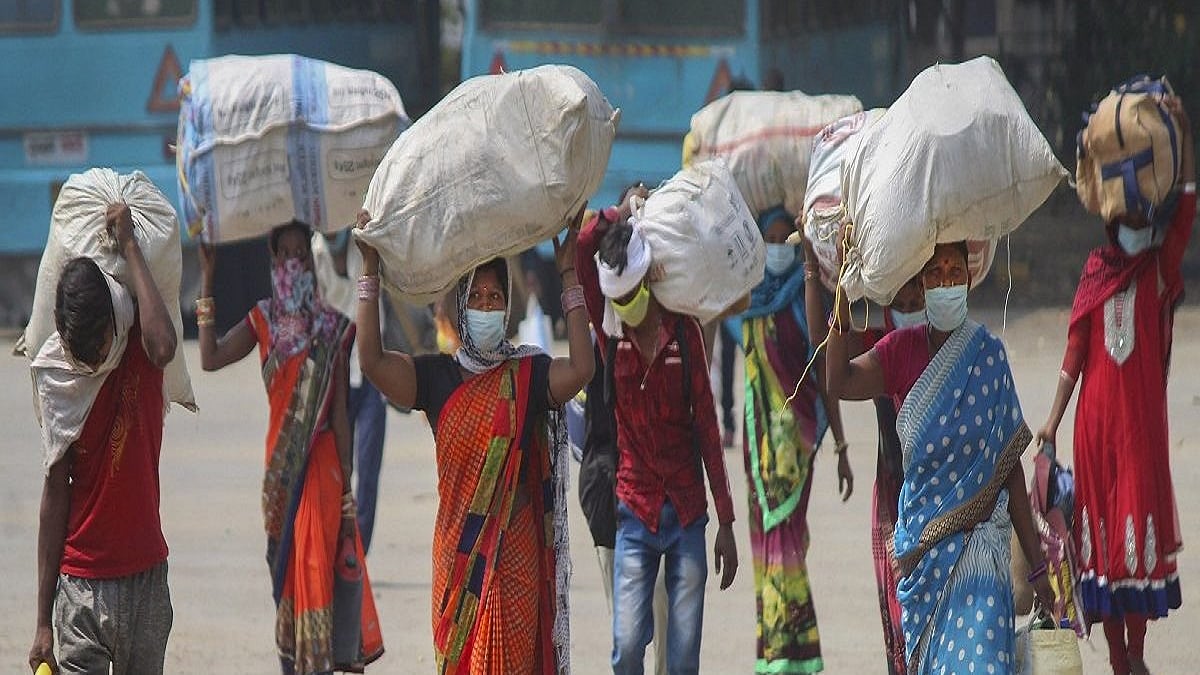 Migration Latest Stories, Exclusive News Articles, Videos, Photos and ...