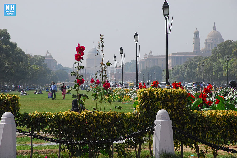 Images: Delhi decked in splendid colours of spring