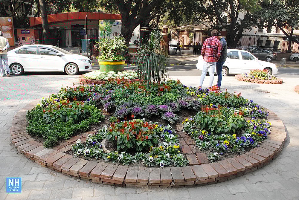 Images: Delhi decked in splendid colours of spring