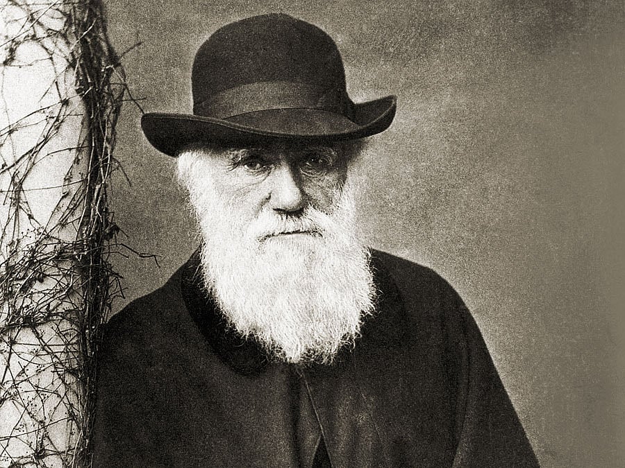 Darwin Week to prove ‘how humans evolved from apes’