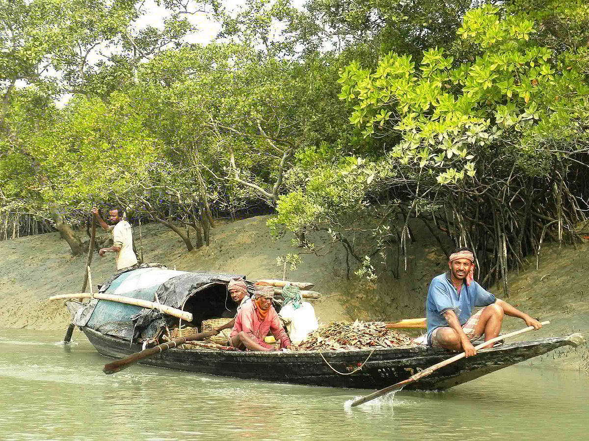 People migrating from Sundarbans as climate threat soars