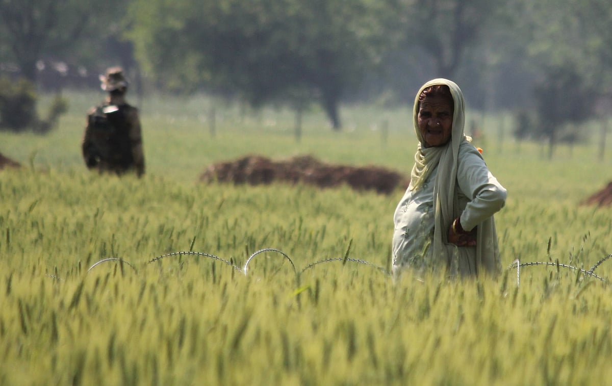 WATCH | Wheat crop of poor farmers in Jammu destroyed for PM Modi’s ...