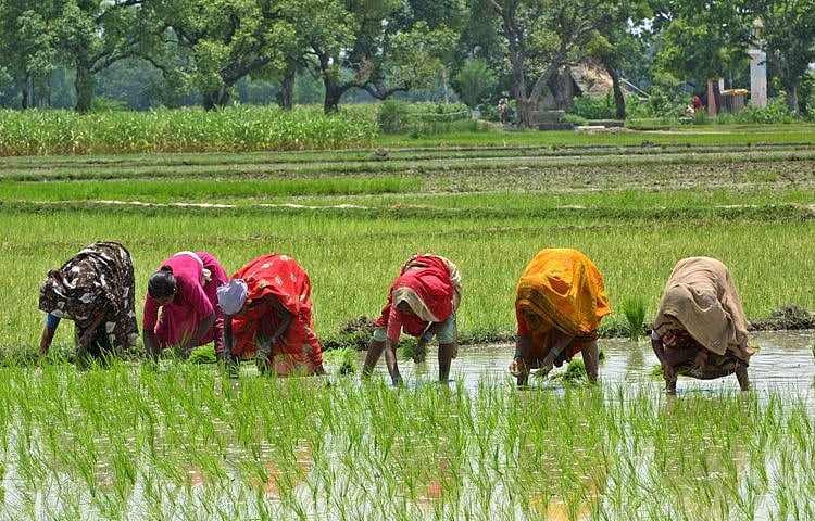 Women’s agricultural labour cause of malnutrition in rural India