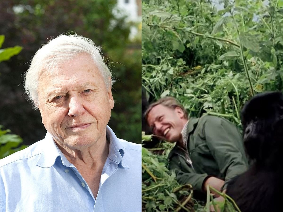 A Life on Our Planet: David Attenborough’s documentary on Netflix ...