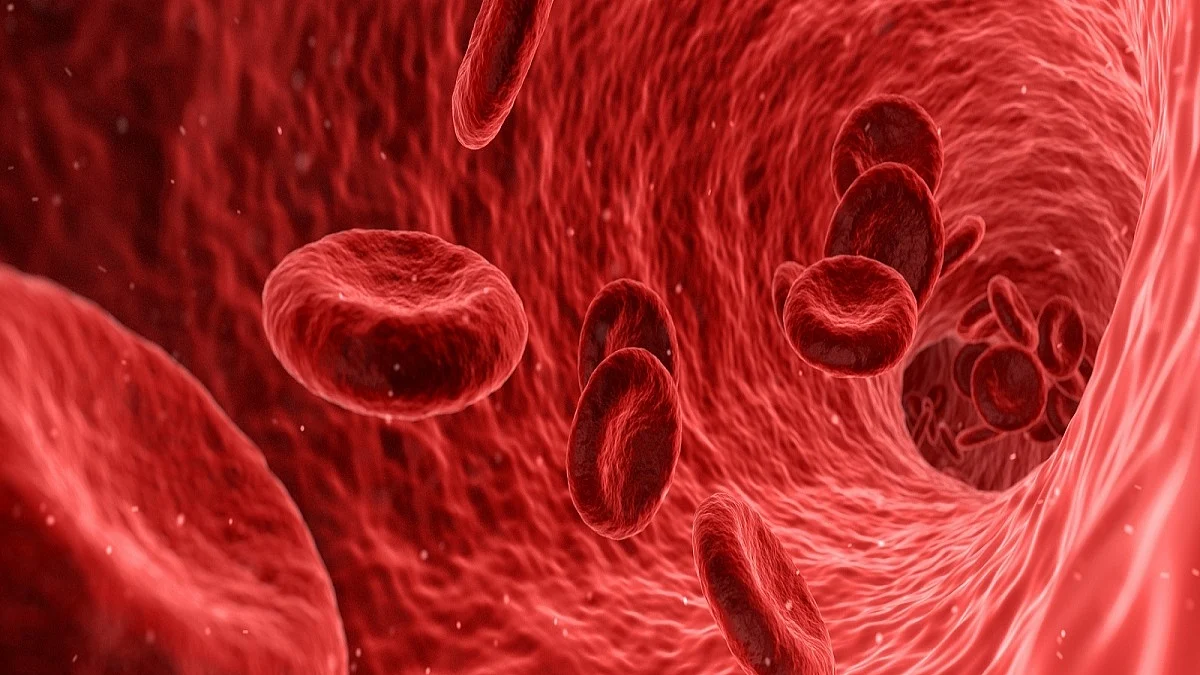 Full Blood Count Can Predict Disease Severity Of COVID Patients full-blood-count-can-predict-disease-severity-of-covid-patients