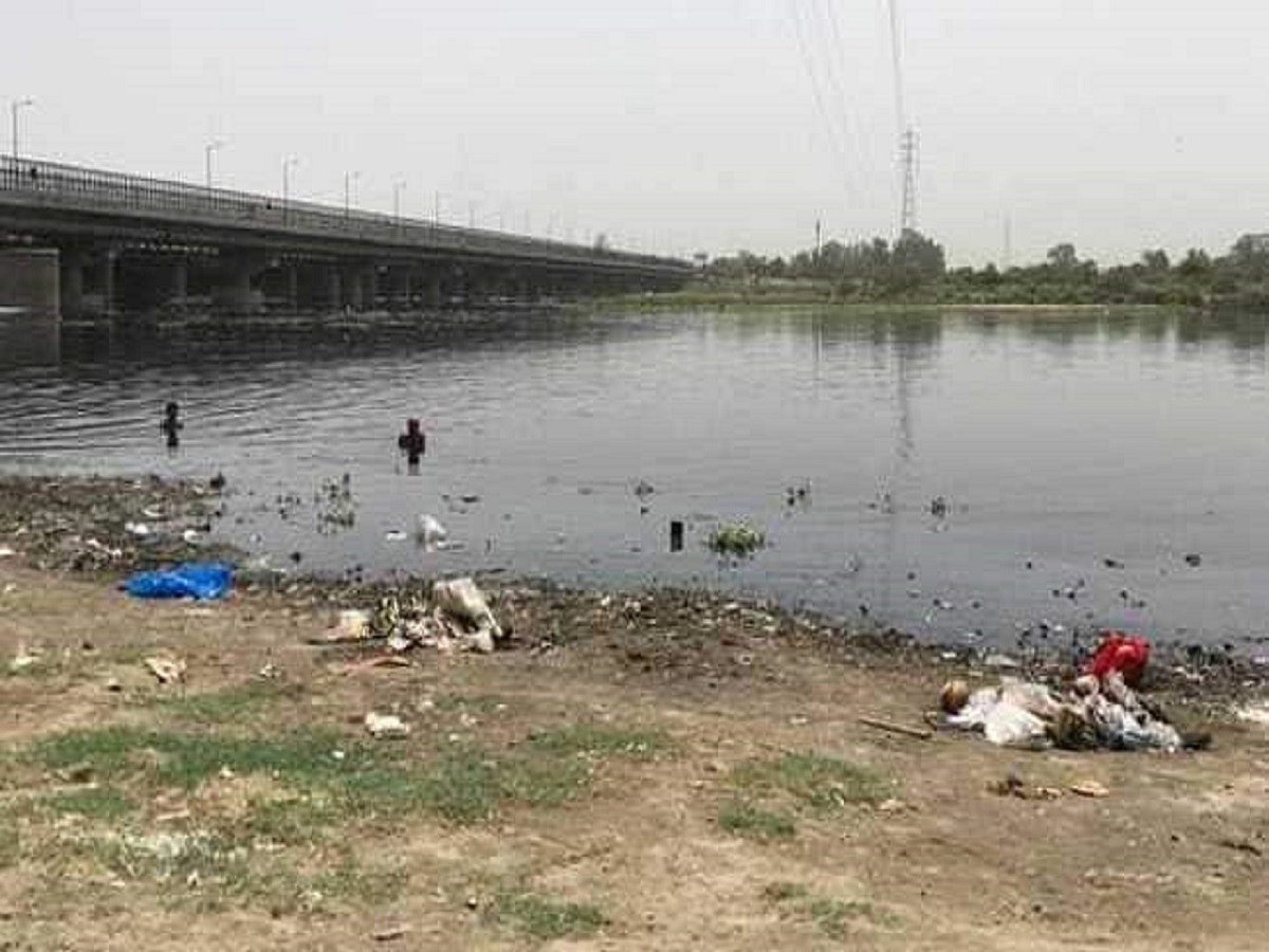 Pollution of the Yamuna River by domestic sewage leads to ecological ...