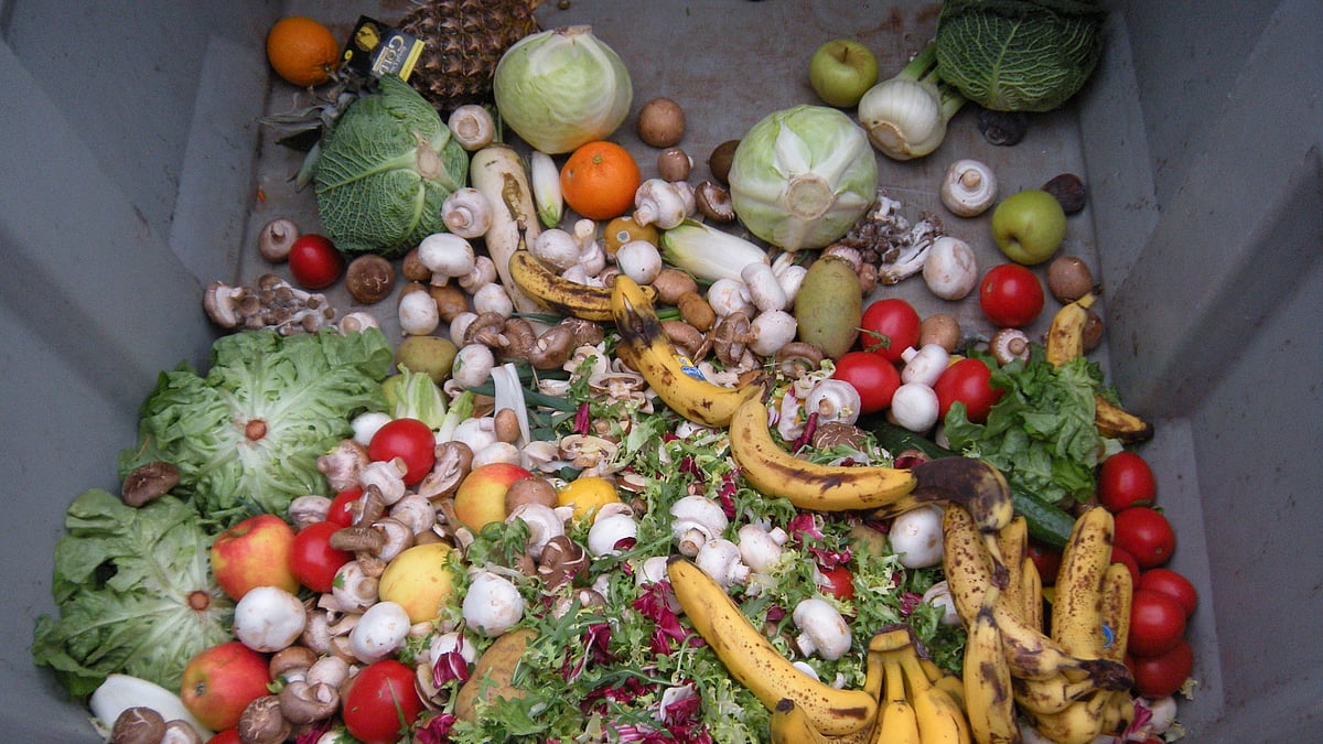 Estimated 931 Million Tonnes Of Food Wasted Globally In 2019 India s Estimated 931 Million Tonnes Of Food Wasted Globally In 2019 India s