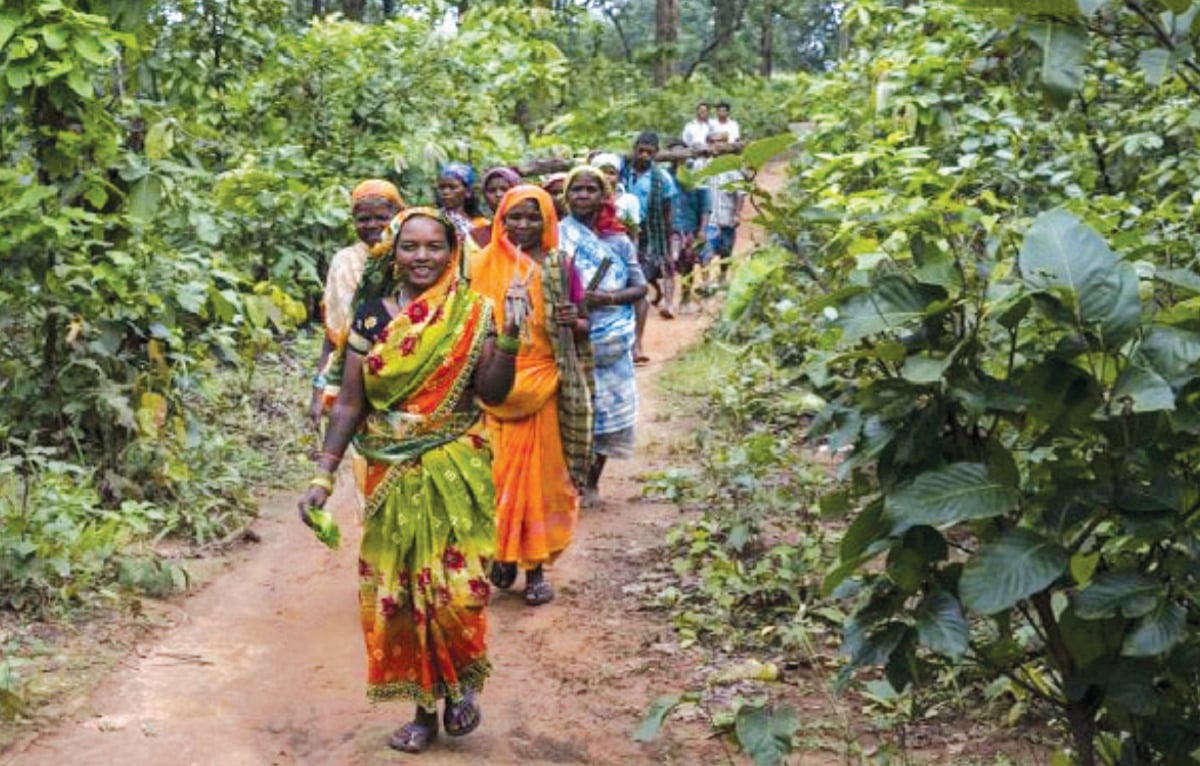 Have 'Rights' been finally granted to tribes and 'Traditional Forest ...