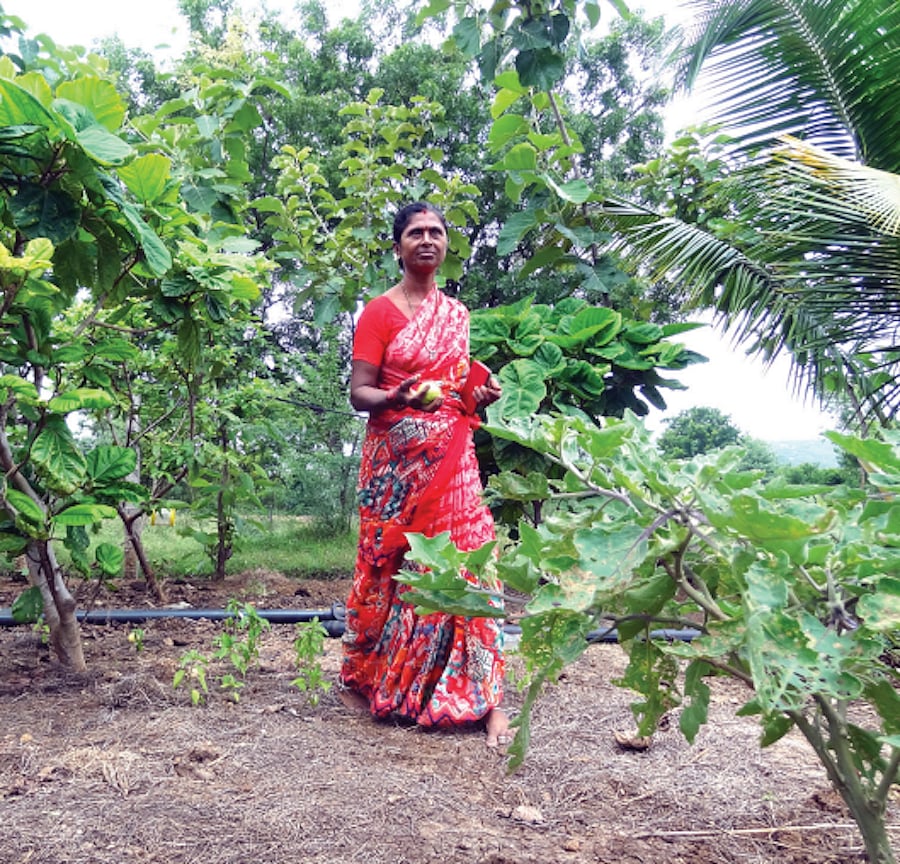 The ‘Saha ja aharam’ story: (How To) Think local