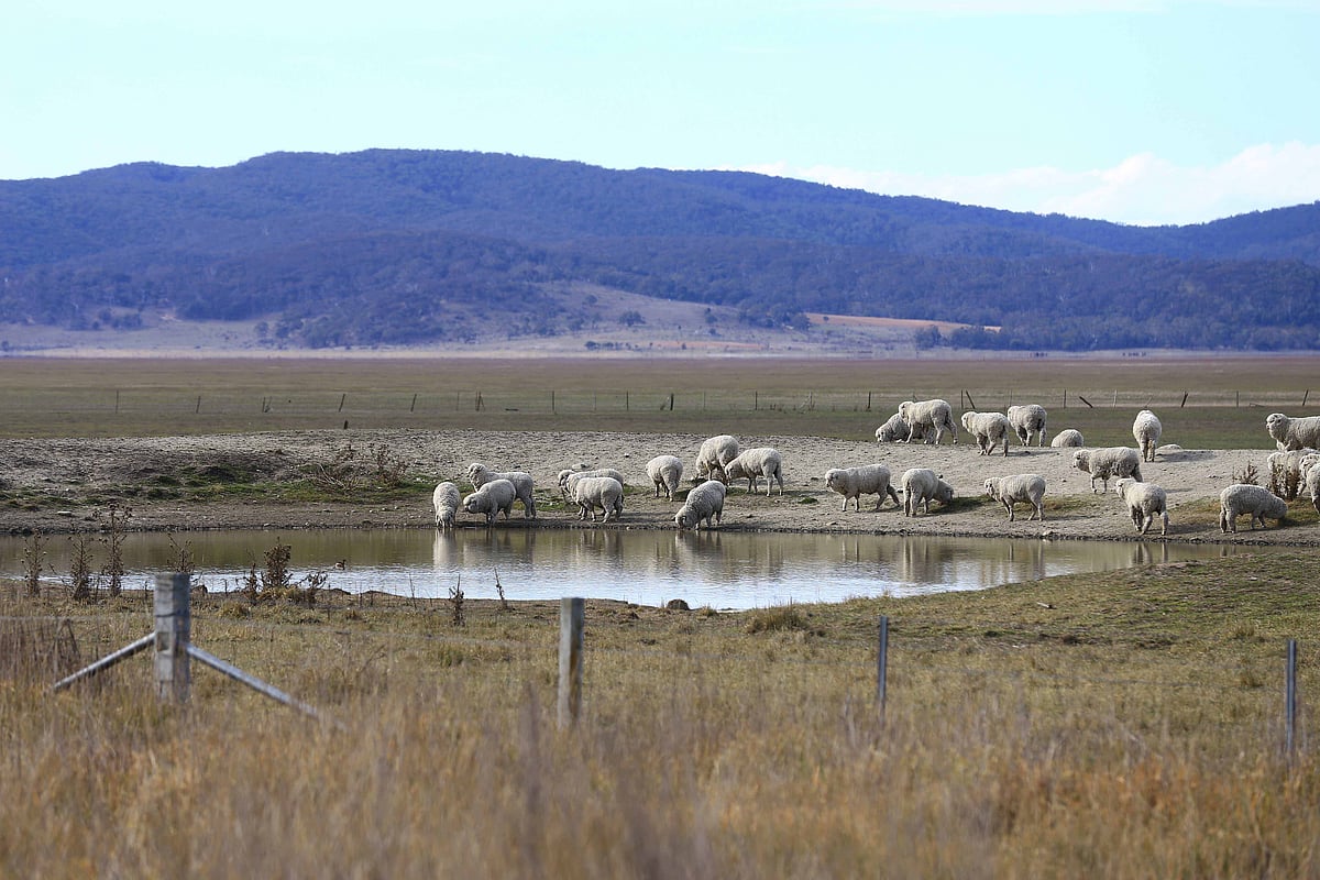 Australia facing disastrous summer of extreme weather events: Study