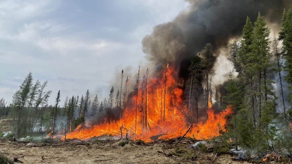 Wildfire raging in California, Nevada spreads to 94,009 acres