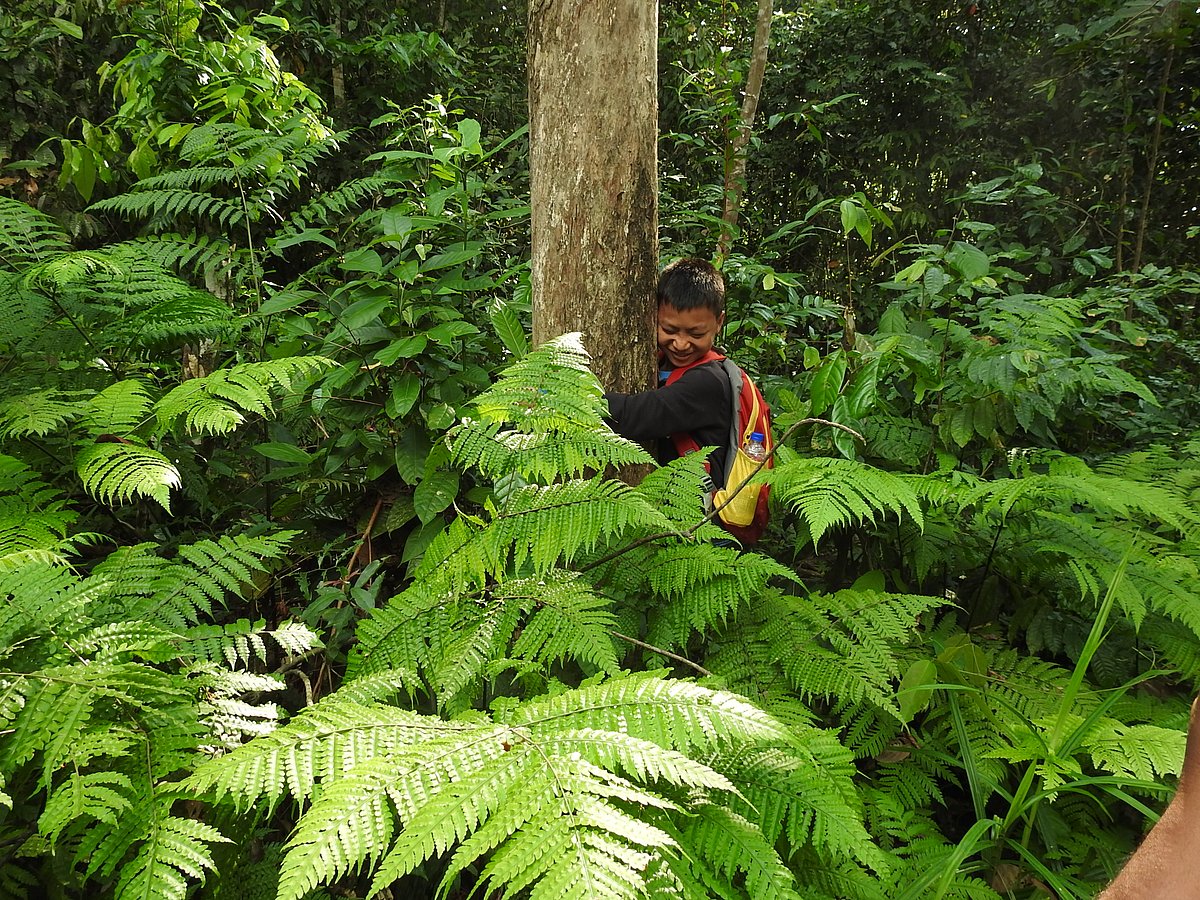 Nature Education Program