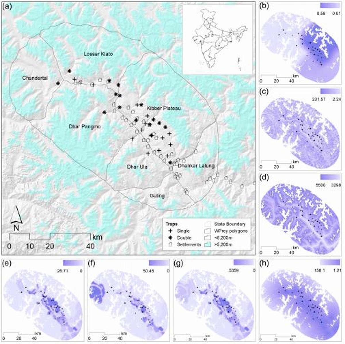 Spatial variation in population-density of snow leopards in a multiple ...
