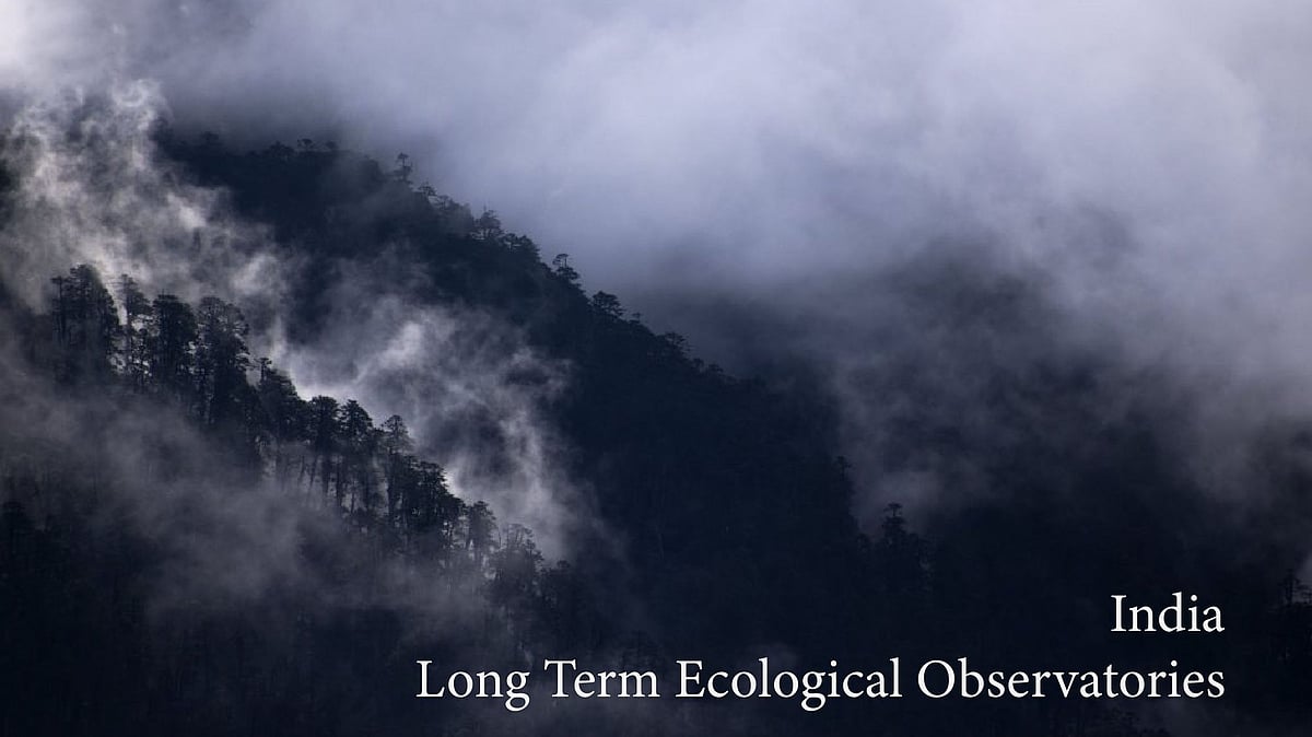 Long Term Ecological Observatories