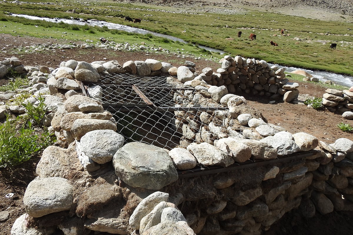 Predator-proof corrals