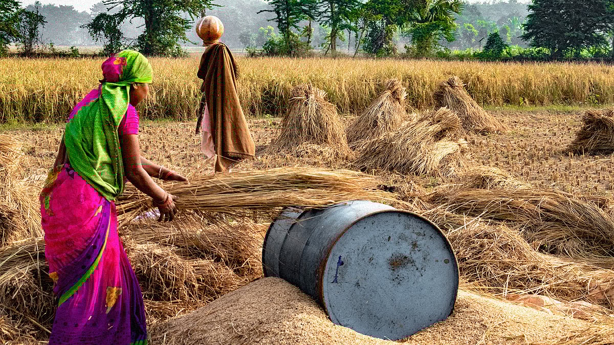 Why Microsoft s Role In Digitising India s Land Records Is Worrying why-microsoft-s-role-in-digitising-india-s-land-records-is-worrying