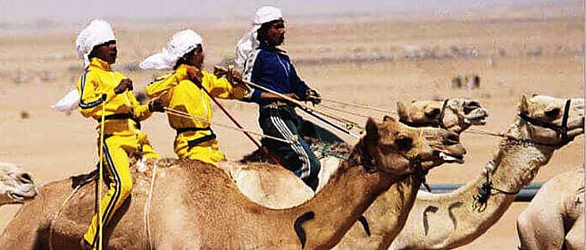 Camel Racing Child Jockeys