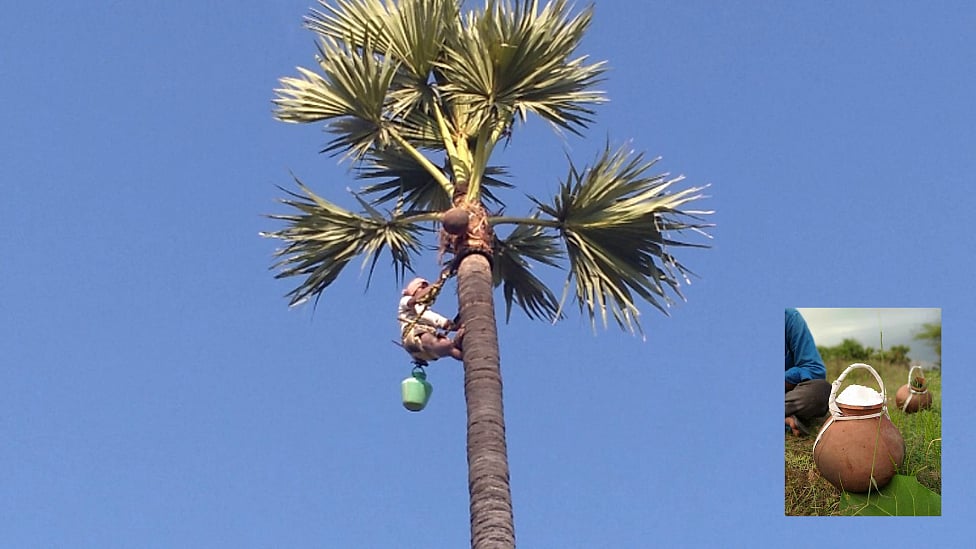 ஃபெனி முதல் தாட்டி கல்லு வரை: இந்திய பழங்குடிகள் தயாரிக்கும் ...