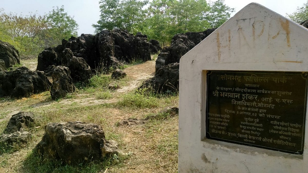Sonbhadra Fossil Park Aims For UNESCO World Heritage Status - News Hamster