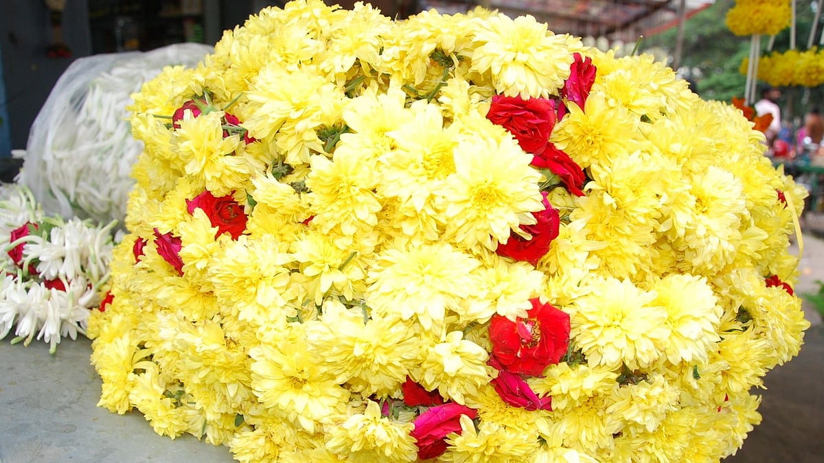 ತುಮಕೂರು | ವರಮಹಾಲಕ್ಷ್ಮಿ ಹಬ್ಬ: ಸೇವಂತಿ ಮಾರಿಗೆ ₹350