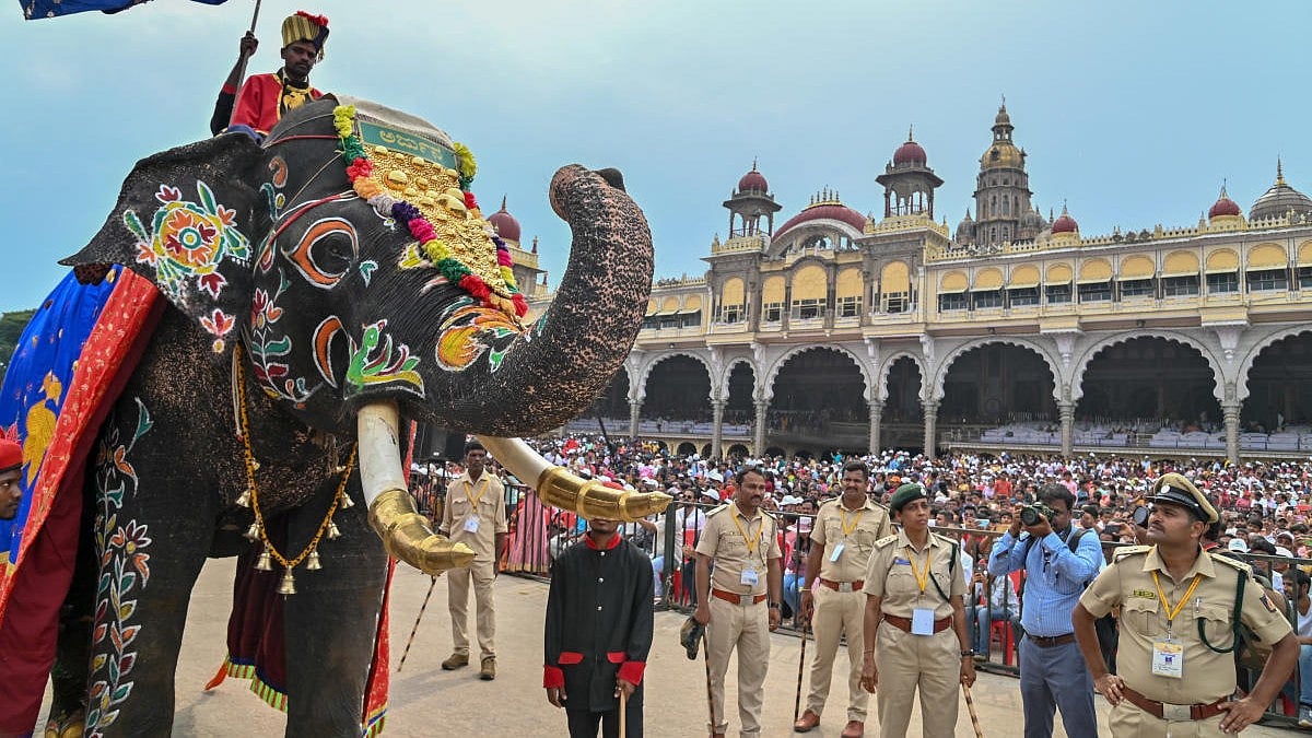 Mysore Arjuna Elephant Death: Mysuru Dasara Elephant Death News