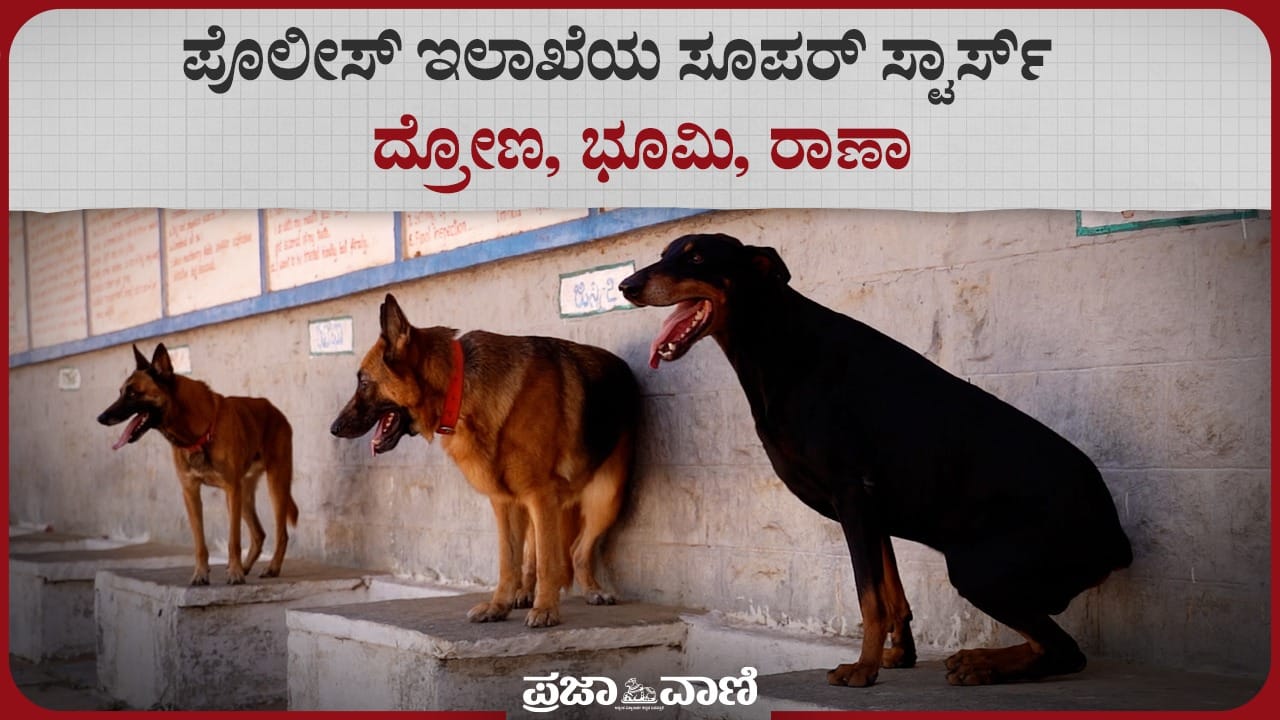 Video | ಪೊಲೀಸ್ ಇಲಾಖೆಯ ಸೂಪರ್ ಸ್ಟಾರ್ಸ್: ದ್ರೋಣ, ಭೂಮಿ, ರಾಣಾ