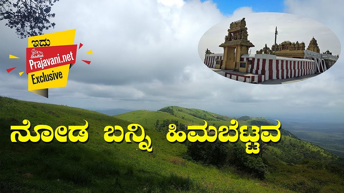 Watch: ಬಂಡೀಪುರ ಅರಣ್ಯದ ನಡುವೆ ತಲೆ ಎತ್ತಿ ನಿಂತಿರುವ ಹಿಮಬೆಟ್ಟವ ನೋಡ ಬನ್ನಿ