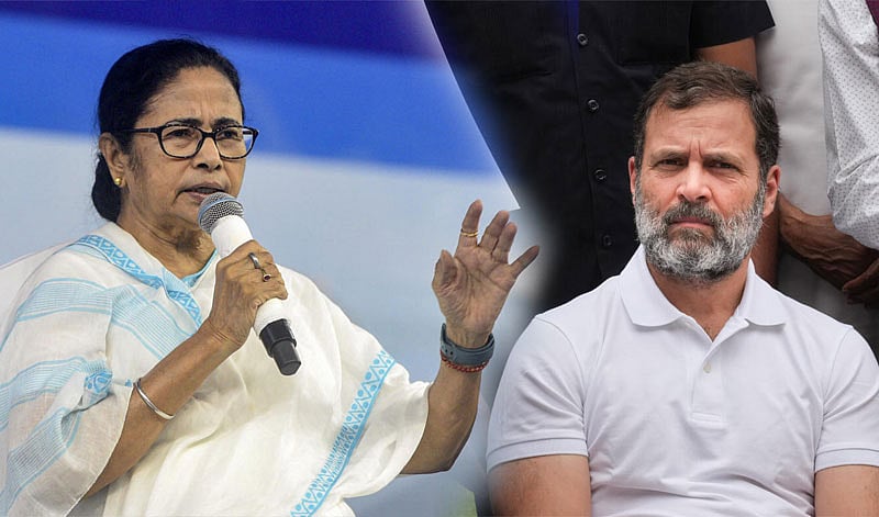 ಲೋಕಸಭೆ ಸದಸ್ಯತ್ವದಿಂದ ರಾಹುಲ್ ಅನರ್ಹ: ಪ್ರಜಾಪ್ರಭುತ್ವದ ಕುಸಿತ ಎಂದ ಮಮತಾ