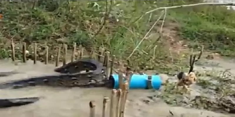 ராட்சத மலைப்பாம்பை பிடிக்க இத்துனூண்டு கோழியா? வைரல் வீடியோவும், நெட்டிசன்ஸ் ரியாக்‌ஷனும்!