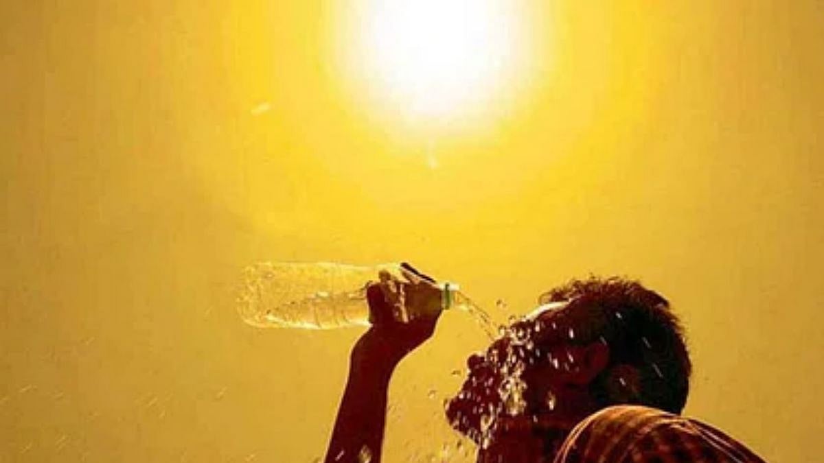 Maharashtra Weather Update| राज्यात उष्णतेची लाट; नाशकात उष्माघाताचा ...