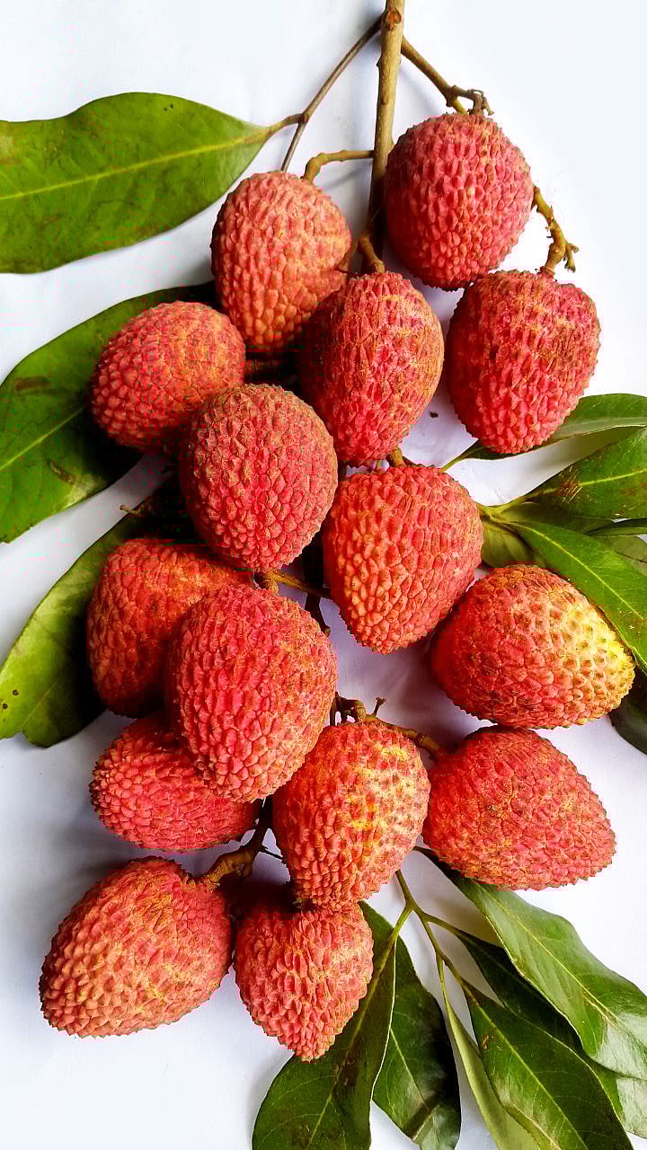 Lychee Health Benefits| लिची खाताय? 'हे' फायदे माहित असायला पाहिजेत.