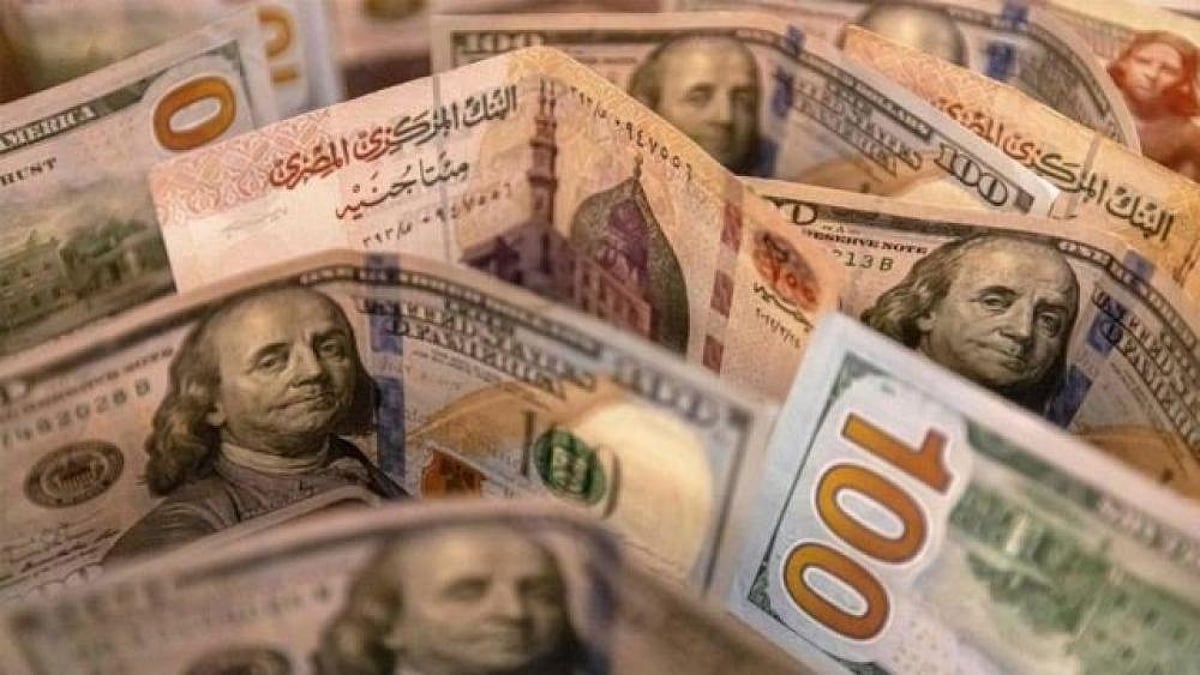مصر الدولار يواصل ارتفاعه مقابل الجنيه