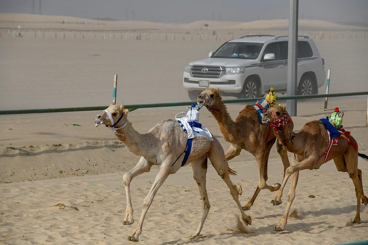 تُقام على ميدان الملك فهد فتح باب التسجيل في سباق النعيرية للهجن