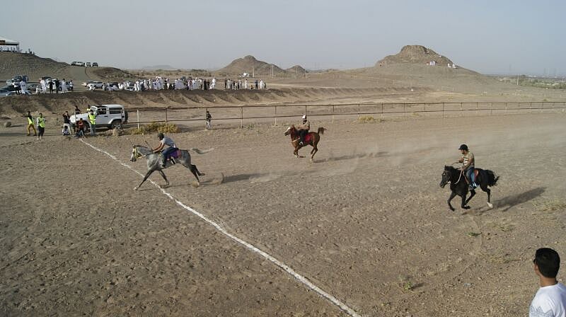 إقامة سباق "خيل الحمراء" الثاني بالمدينة المنورة