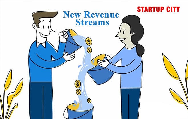 New Revenue Streams To Get More Profit Out of Your Business