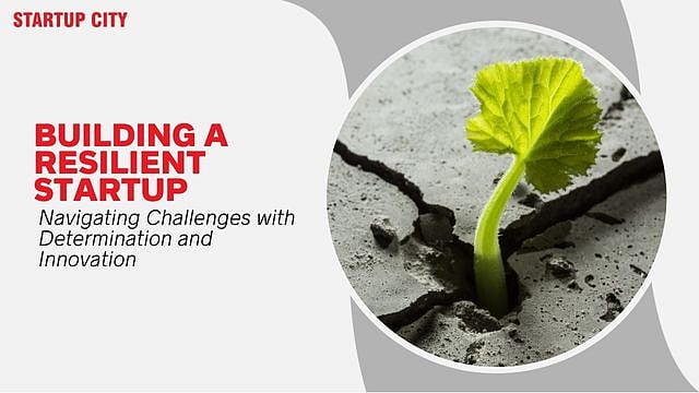 Building a Resilient Startup: Navigating Challenges with Determination ...