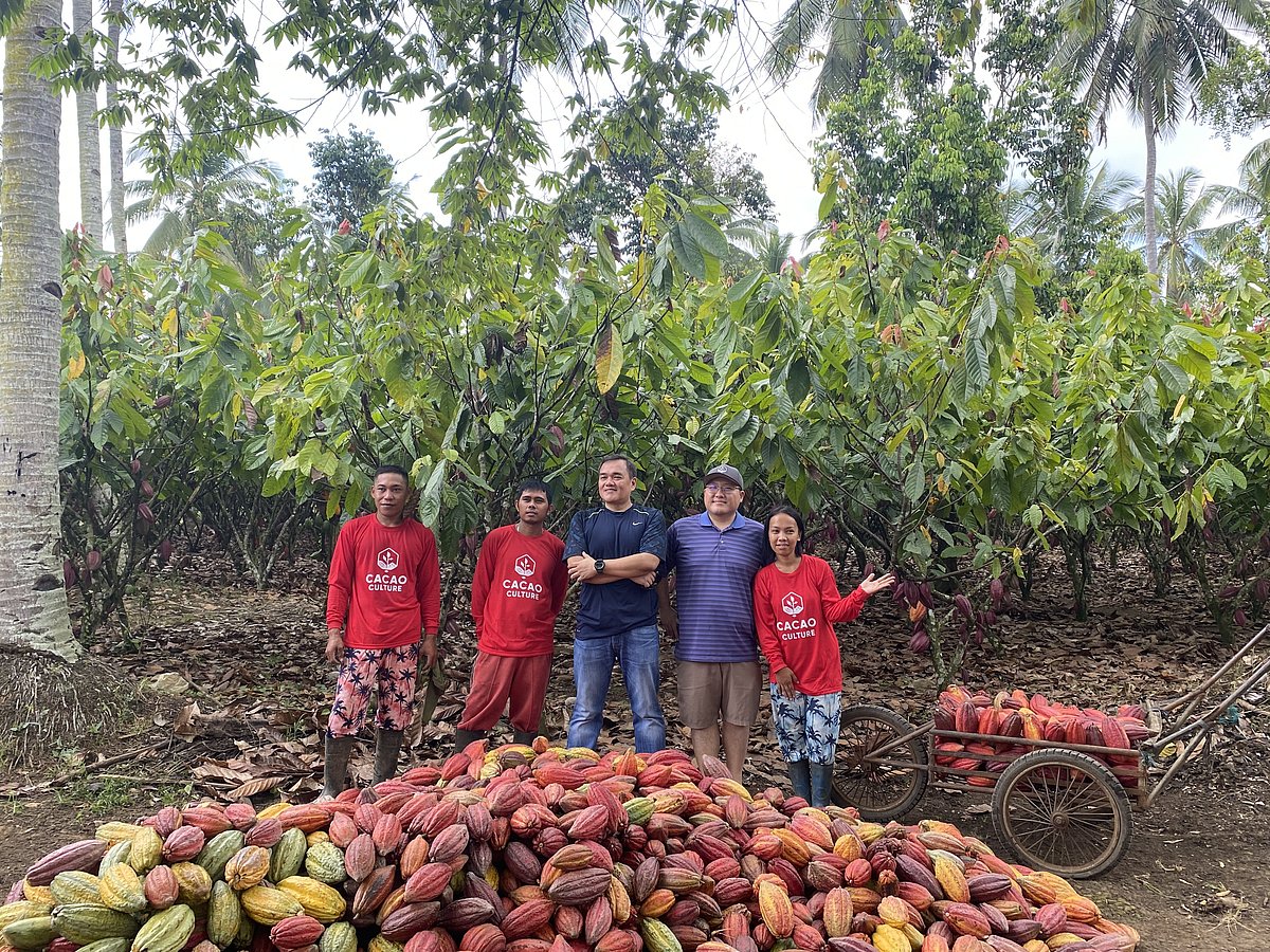 Cacao Culture: Championing sustainable cacao farming in Davao