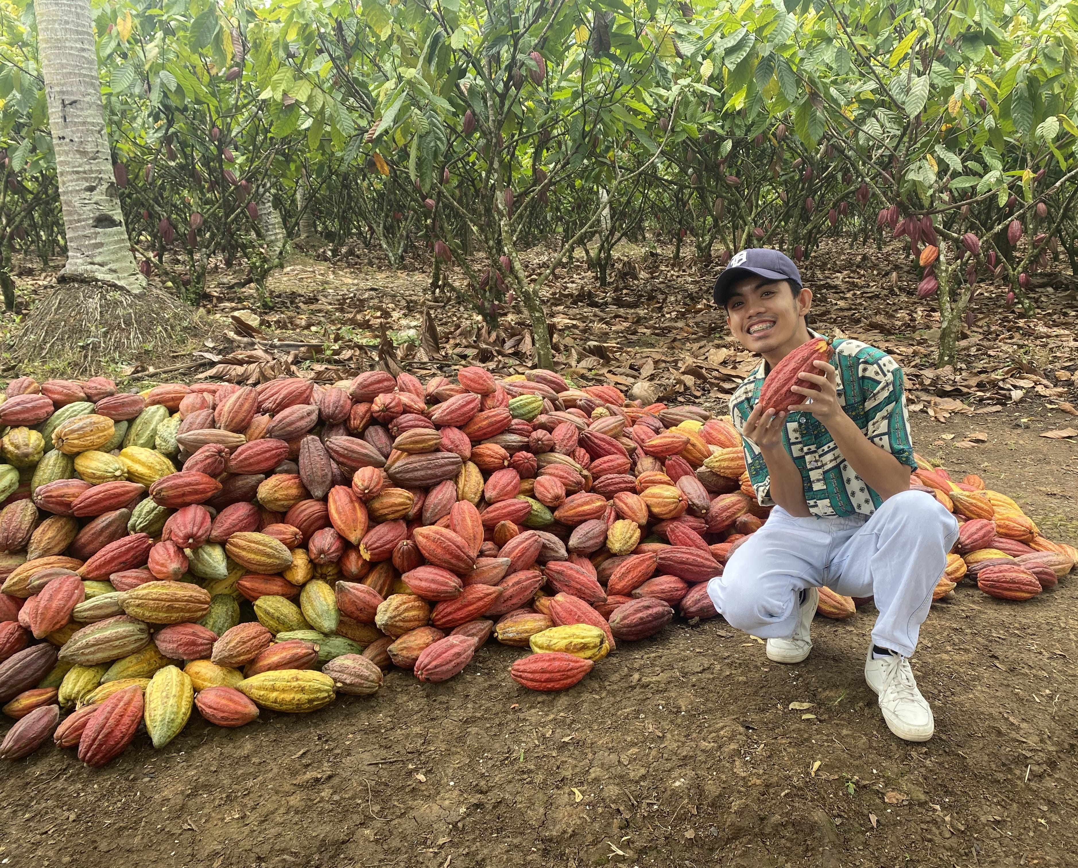 Cacao Culture: Championing sustainable cacao farming in Davao
