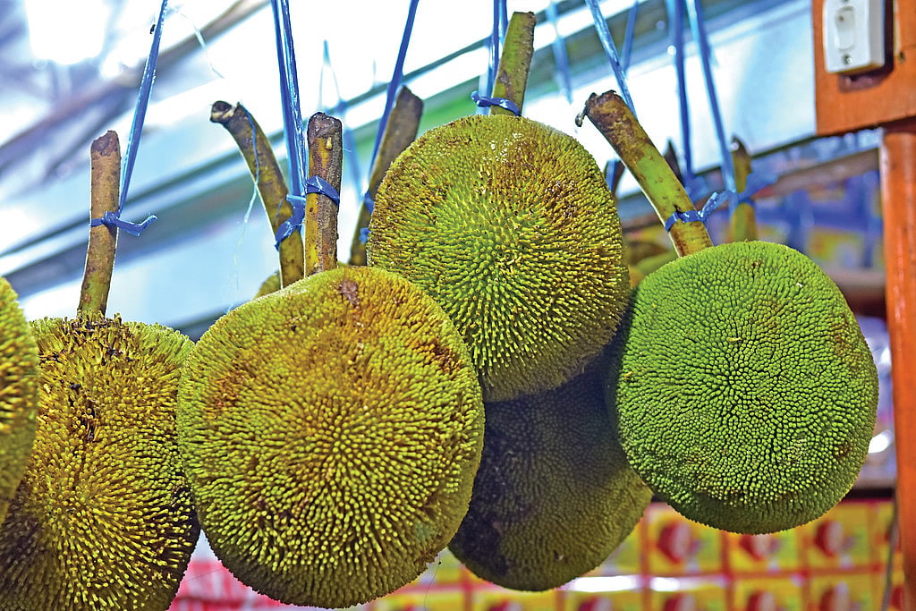Kadayawan fruits: All you need to know