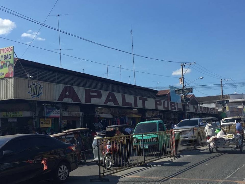 Pampanga Provincial Board to look into Apalit ordinance on new public market