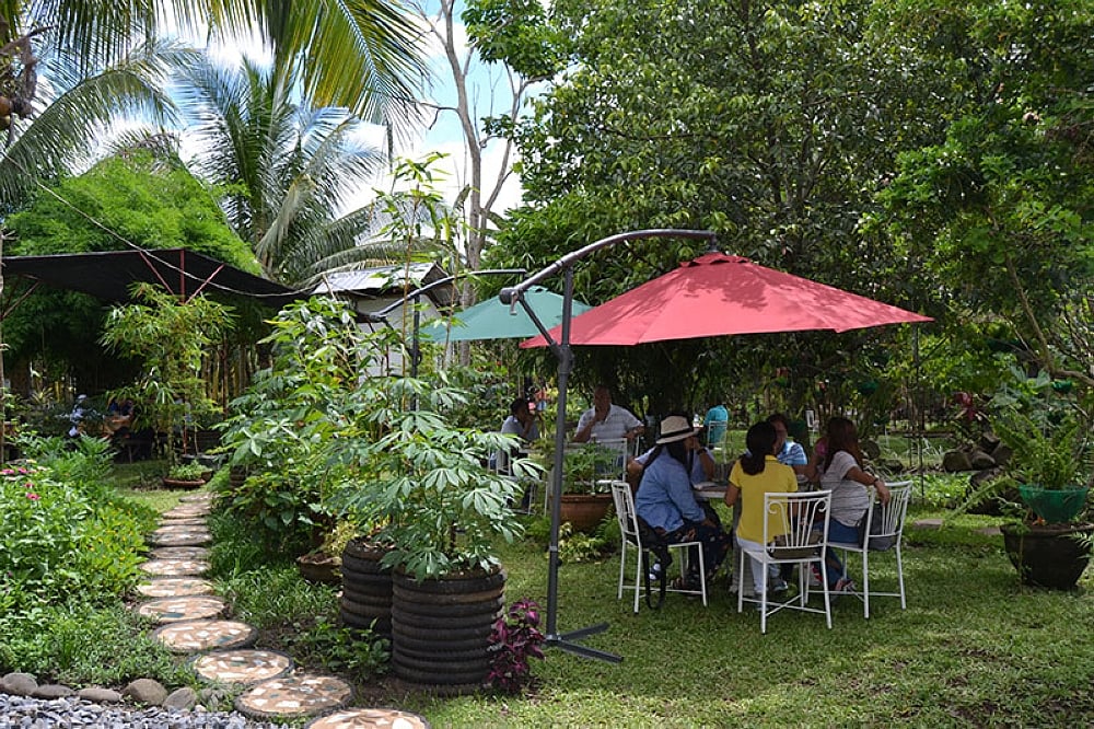 A glimpse of natural farming at Huni Farm